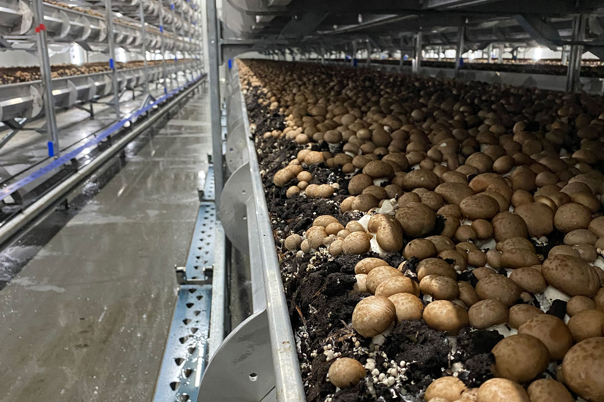 Lubron Startseite - Lubron Wasseraufbereitung